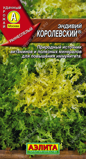 Купить Эндивий Королевский раннеспел в Санкт-Петербурге | Расти и ...